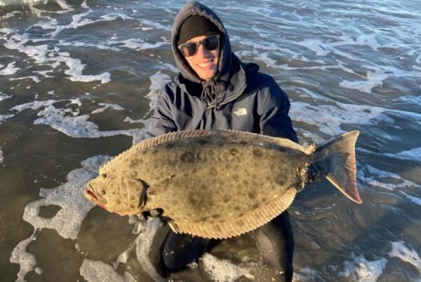 Common Fish Species, Limits, and Other Regulations for Surf Fishing