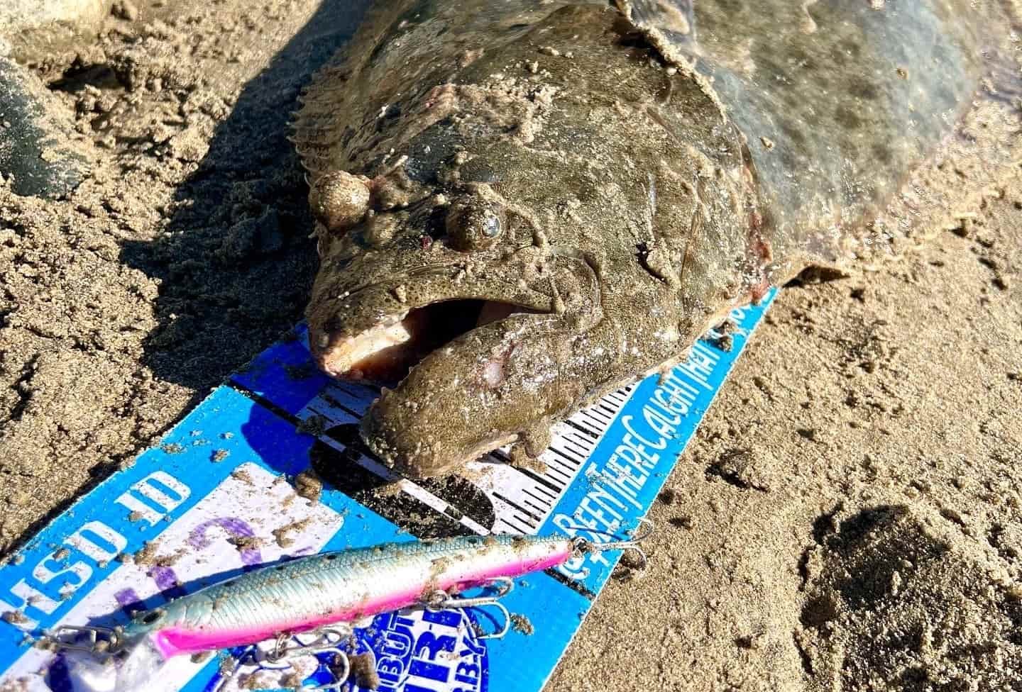 Monster Halibut and Some Croaker that Will Blow Your Mind!