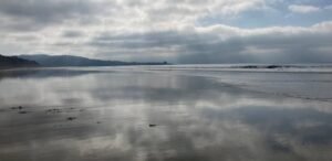 Grunion Run 2025: Where, When, and How