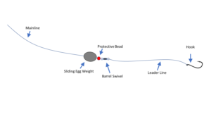 Halibut Fishing: Best Rigs, Rods, Bait and Surf Fishing Tackle