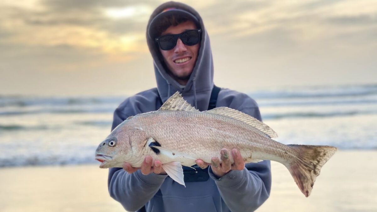 California Beach and Pier Fishing: Here's What License You Need