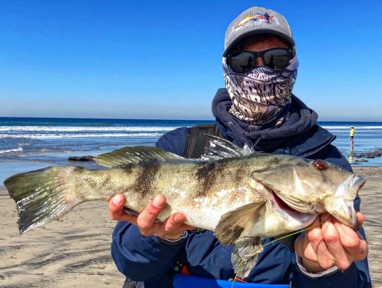 Fishing and Grunion Runs: Should You Fish Before, During, After?