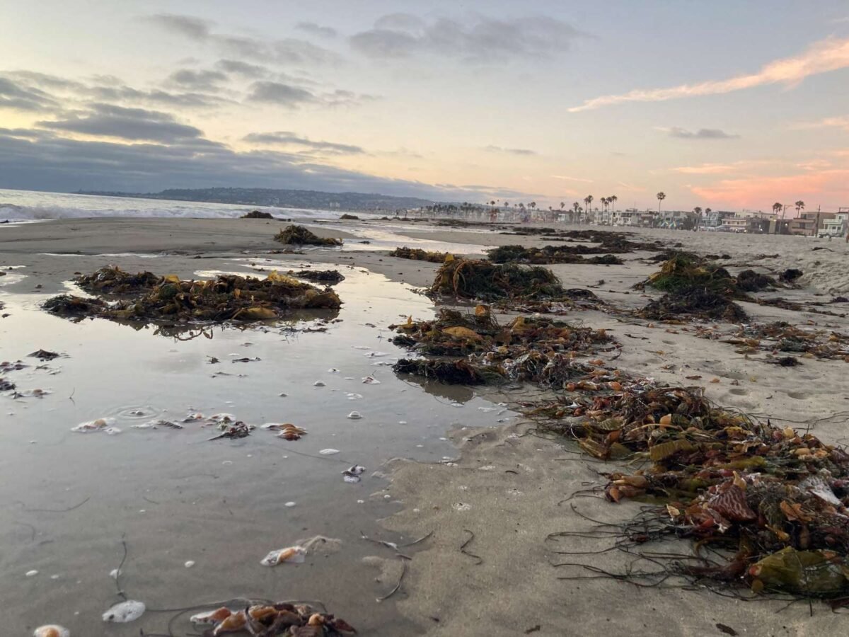 Is High Tide the Best Time to Go Fishing?