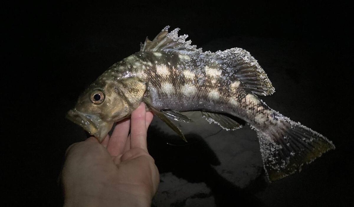 Surf Fishing at Night: How to Plan and Tips for Success