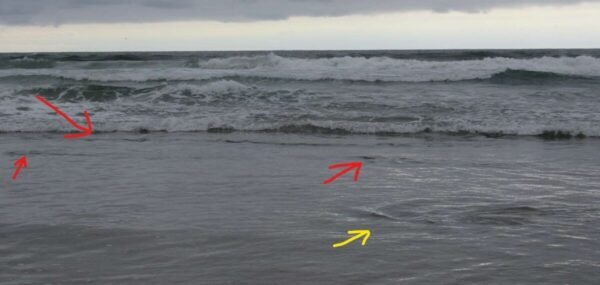 Surf Fishing at Night: How to Plan and Tips for Success