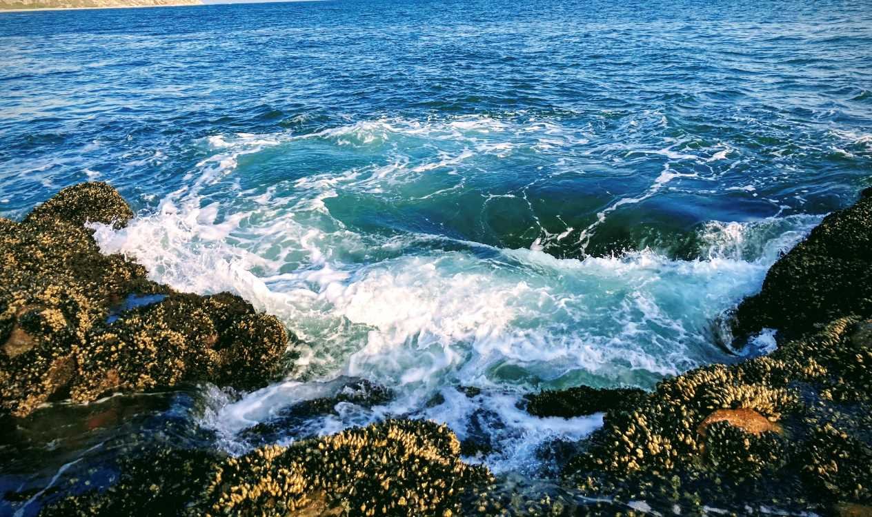 Surf Fishing a 15+ Foot Drop-Off: California Reef Fishing