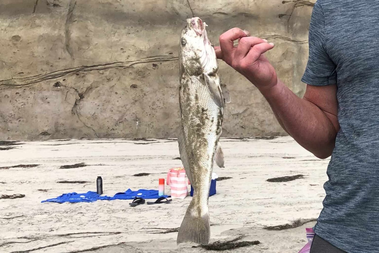 9 Ways To Accidentally Kill A Fish: Fish Handling 101