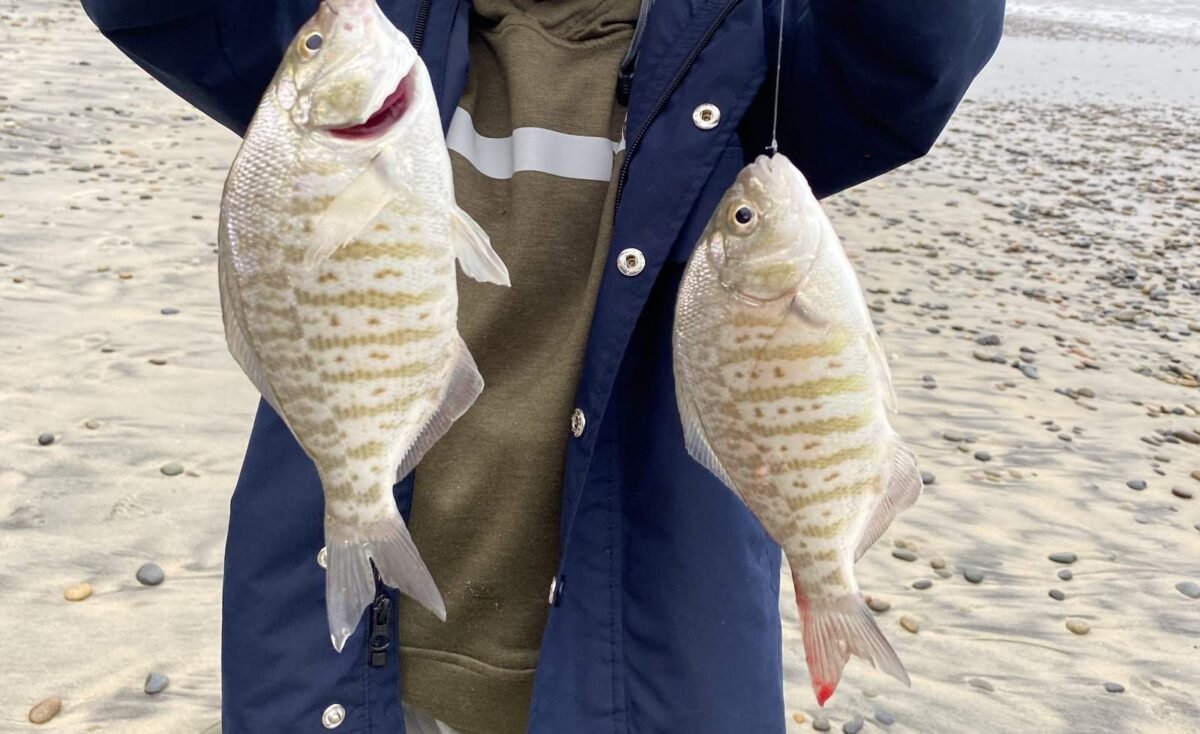 9 Ways To Accidentally Kill A Fish: Fish Handling 101