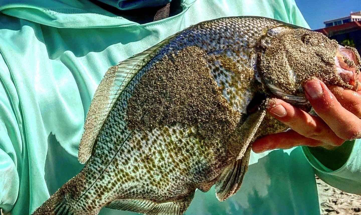 9 Ways To Accidentally Kill A Fish: Fish Handling 101