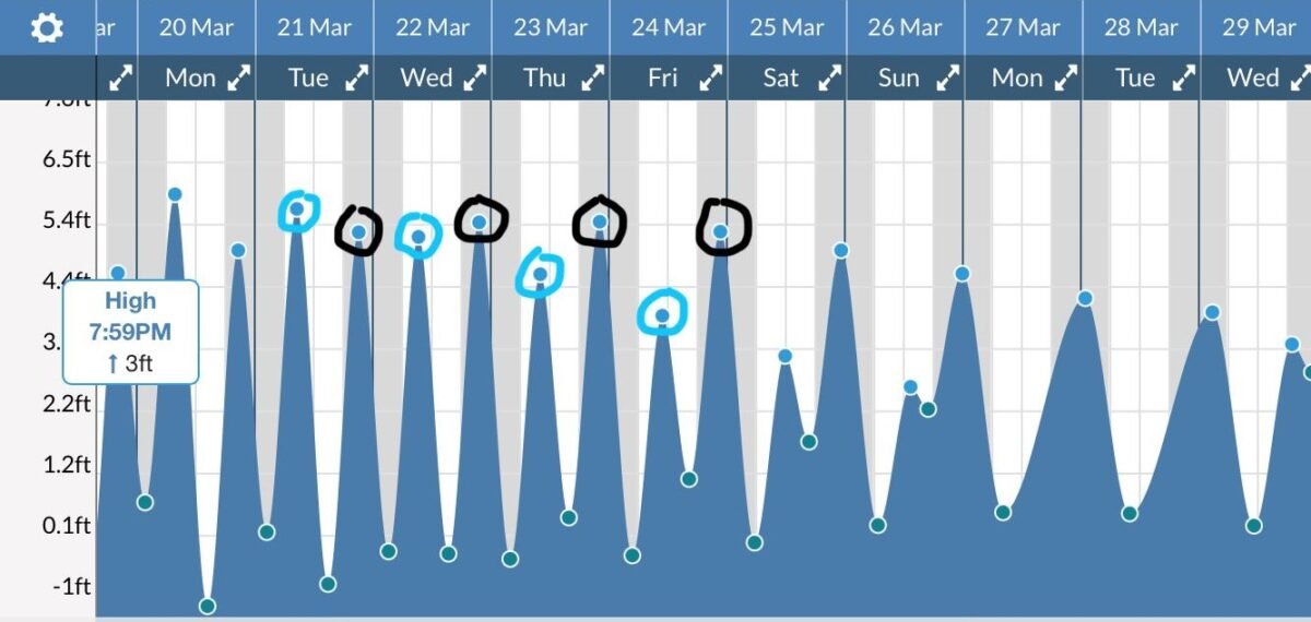 What's The Best Night of the Grunion Run? Predicting Grunion