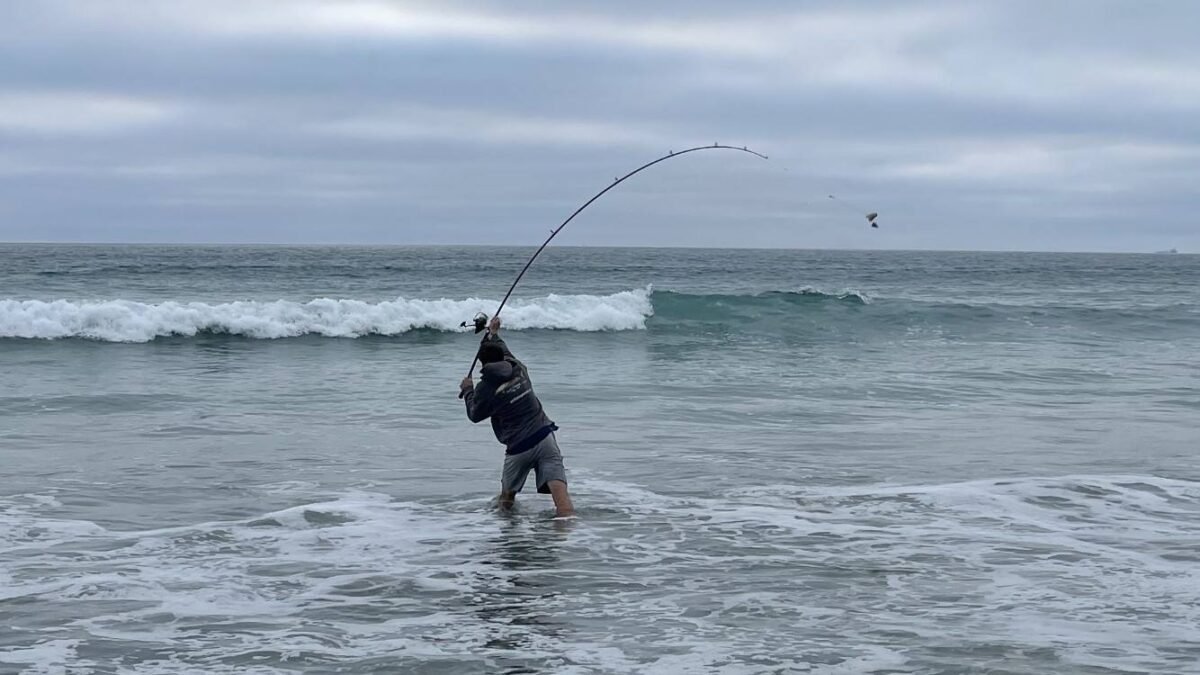 Choosing The Best Rod For Surf Fishing: Specs and Length?