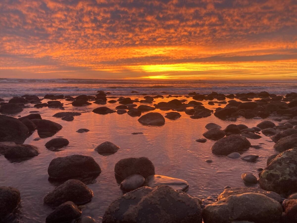 Halibut Fishing: Best Rigs, Rods, Bait and Surf Fishing Tackle