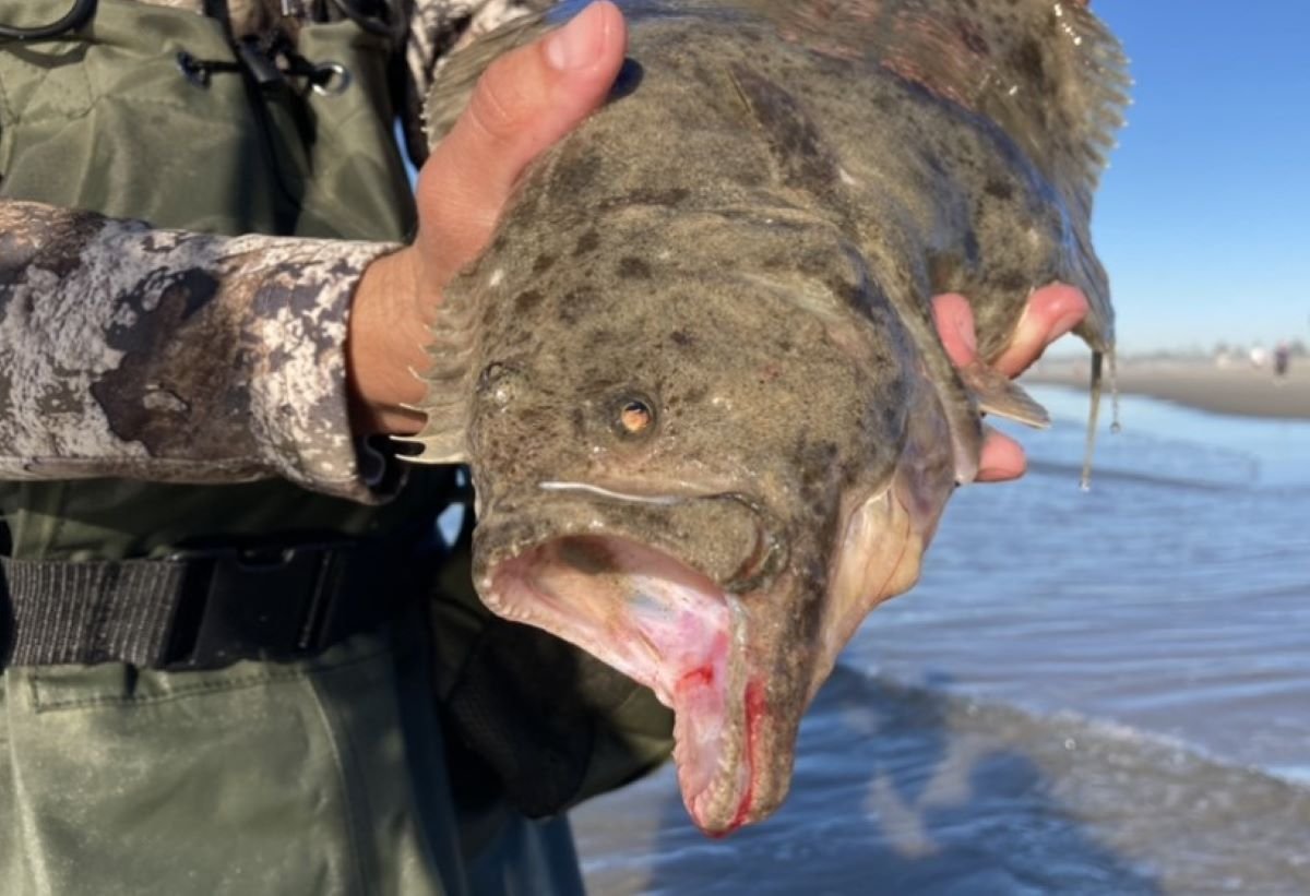 Coronado State Beach: Surf Fishing Guide and How-To - Surf Fishing In ...