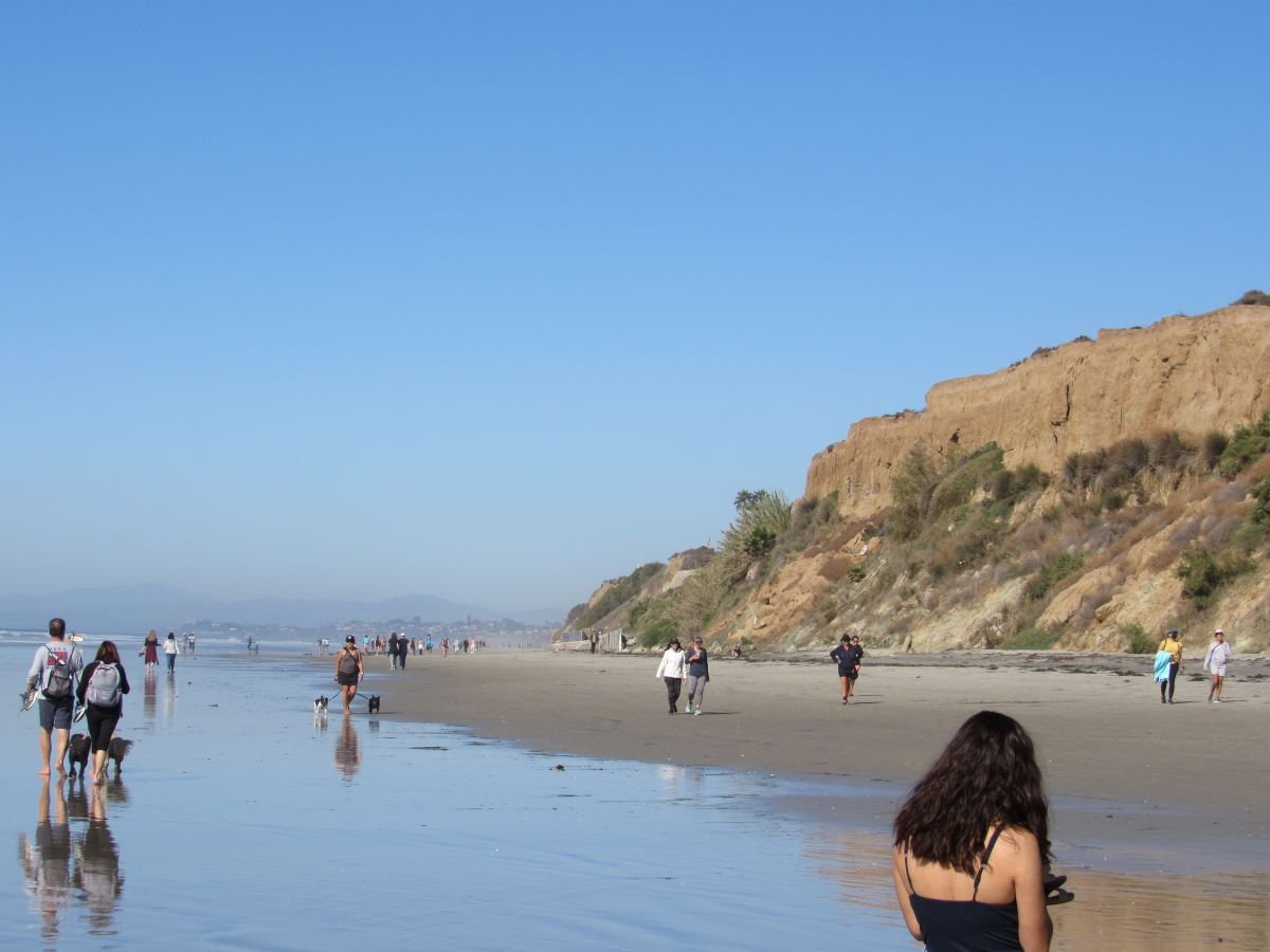 Del Mar Beach Surf Fishing: Complete How-To Guide - Surf Fishing In So Cal
