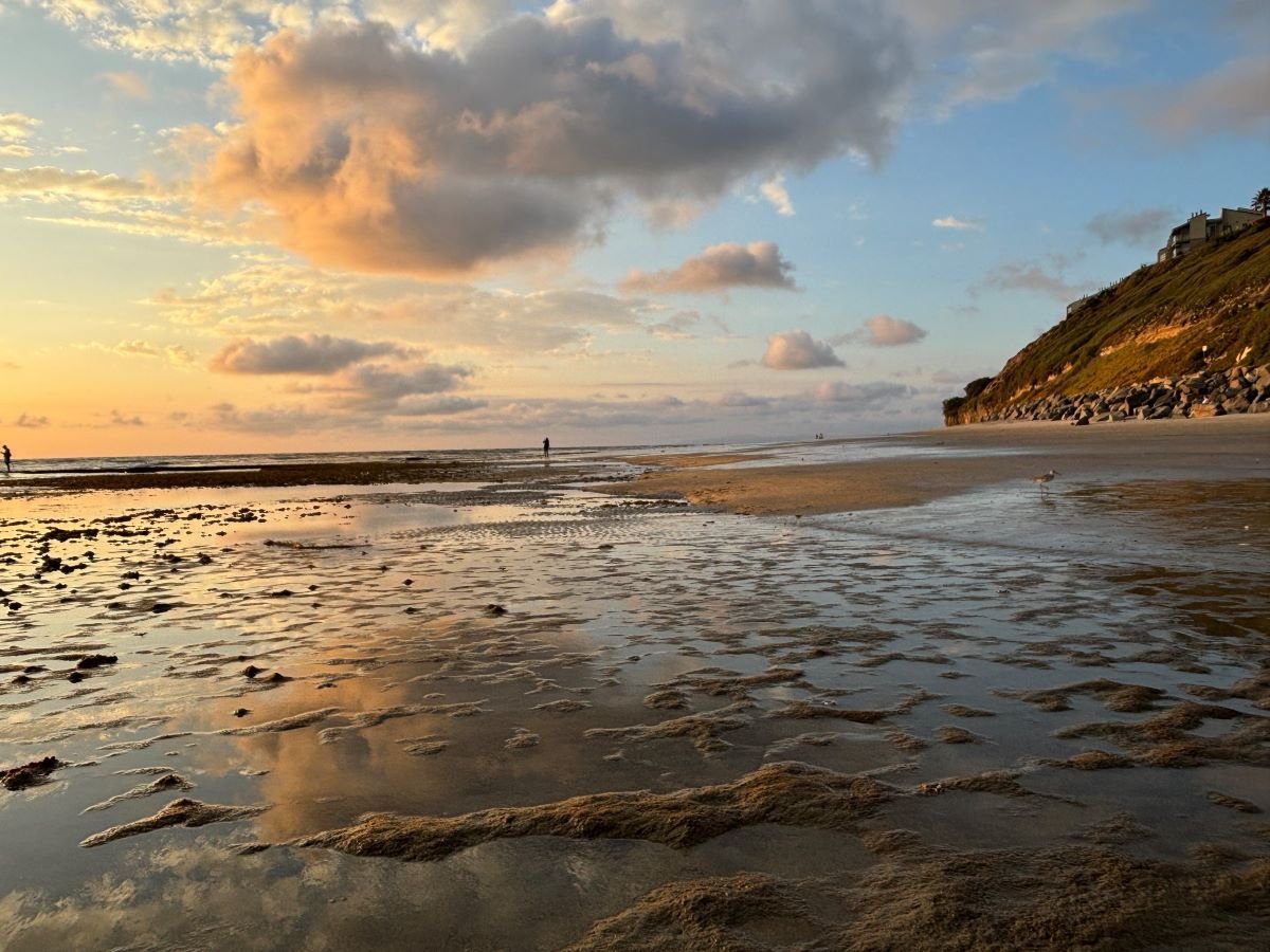 Surf Fishing in Encinitas: A Complete Guide - Surf Fishing In So Cal